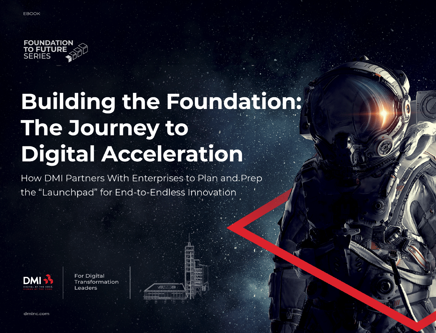 Commerce Maturity Assessment - Ecosystem Stage - DMI Inc.